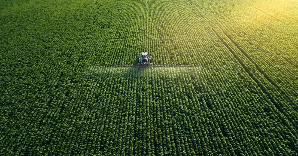 Changes to AgriInvest Program in 2025 | Bossy Nagy Group